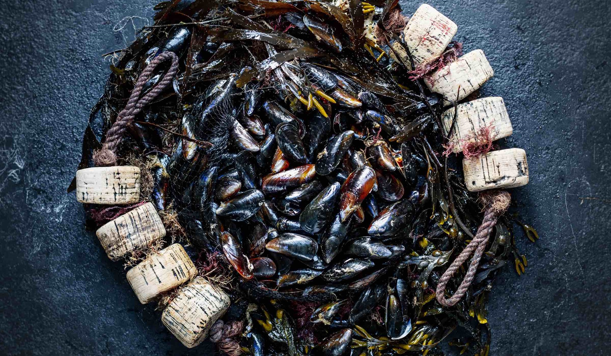 The Ship Inn - Pub and Restaurant in Mundesley, Norfolk